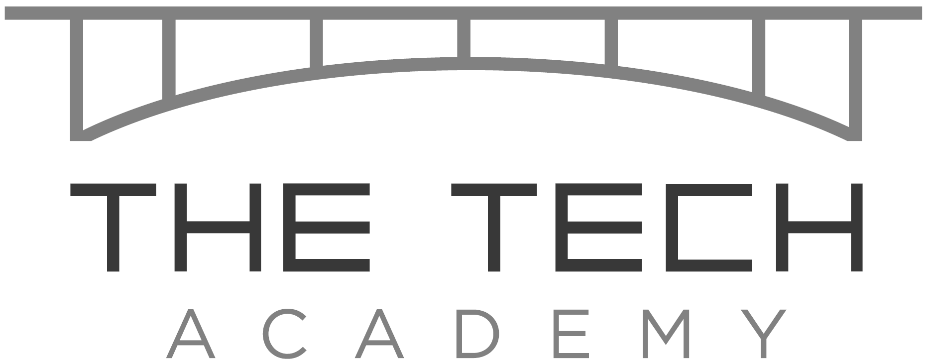 Adescriptionofthetechacademy